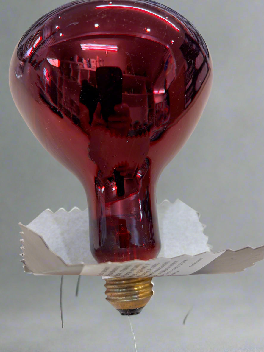 Infa-Red Light 250 watt heat lamp